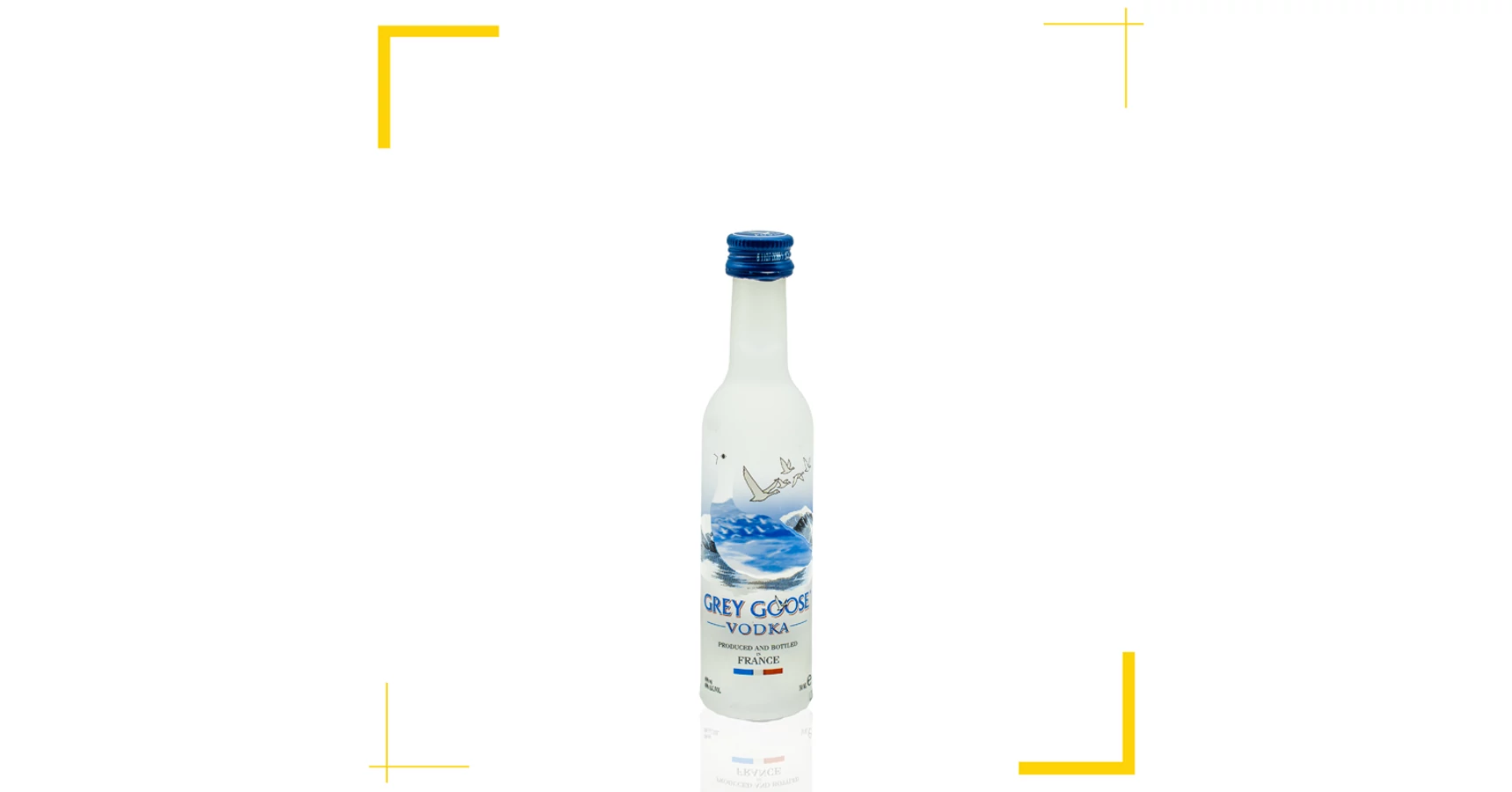 Grey Goose Original Mini (40% - 0,05L)